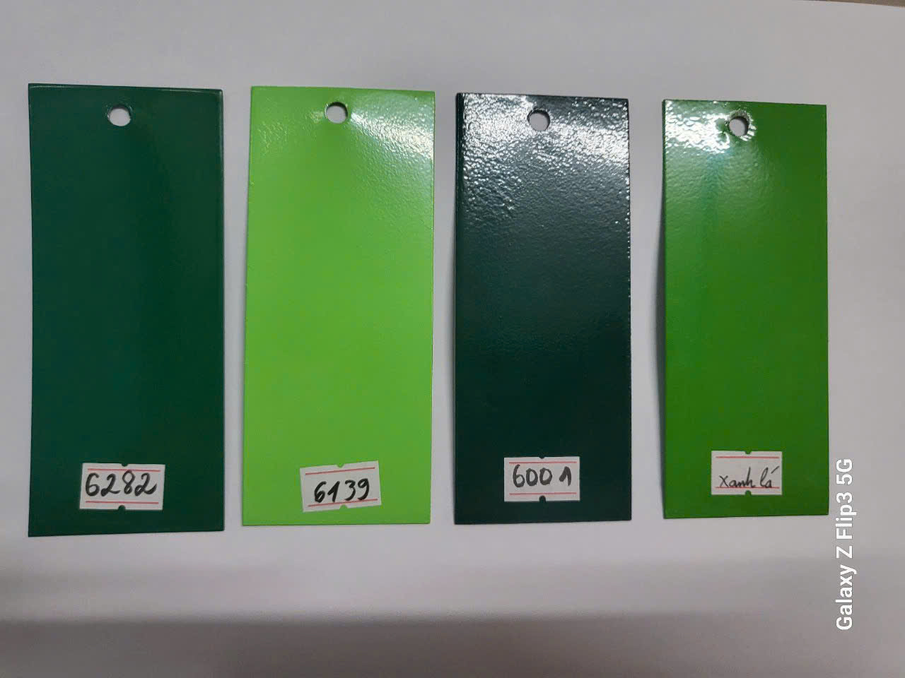 MÀU SƠN TĨNH ĐIỆN CHÂN BÀN